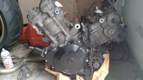 Suzuki TL1000S motor swap to TLR motor | Firewood Hoarders Club