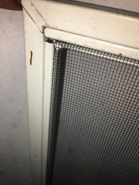 Anderson Window screen repair? - Metal spline? | Firewood Hoarders Club