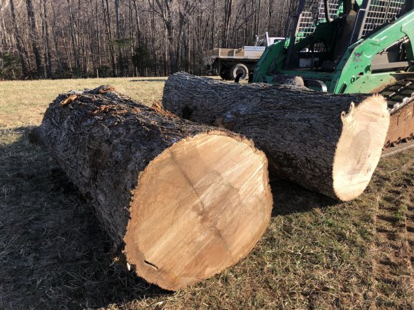 Hickory logs | Firewood Hoarders Club