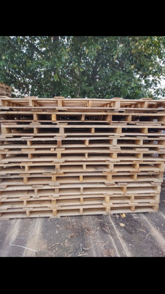 Skid-er Done.... | Firewood Hoarders Club