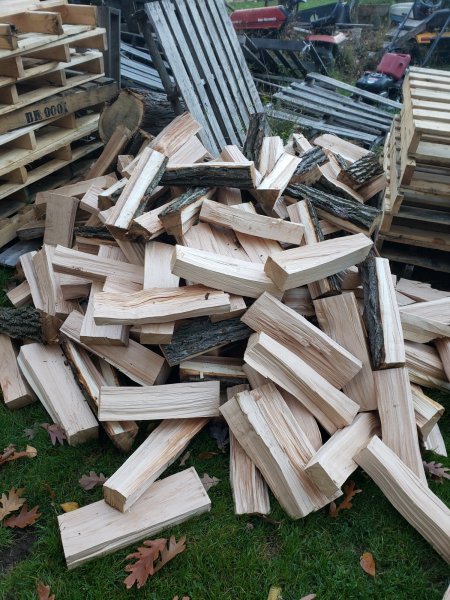 Maple splitting dream. | Firewood Hoarders Club