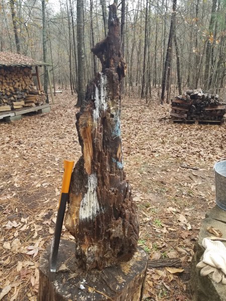 Fat wood stump | Firewood Hoarders Club