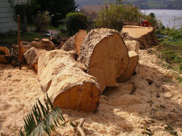 Seeking spruce splitting tips and tricks. | Firewood Hoarders Club