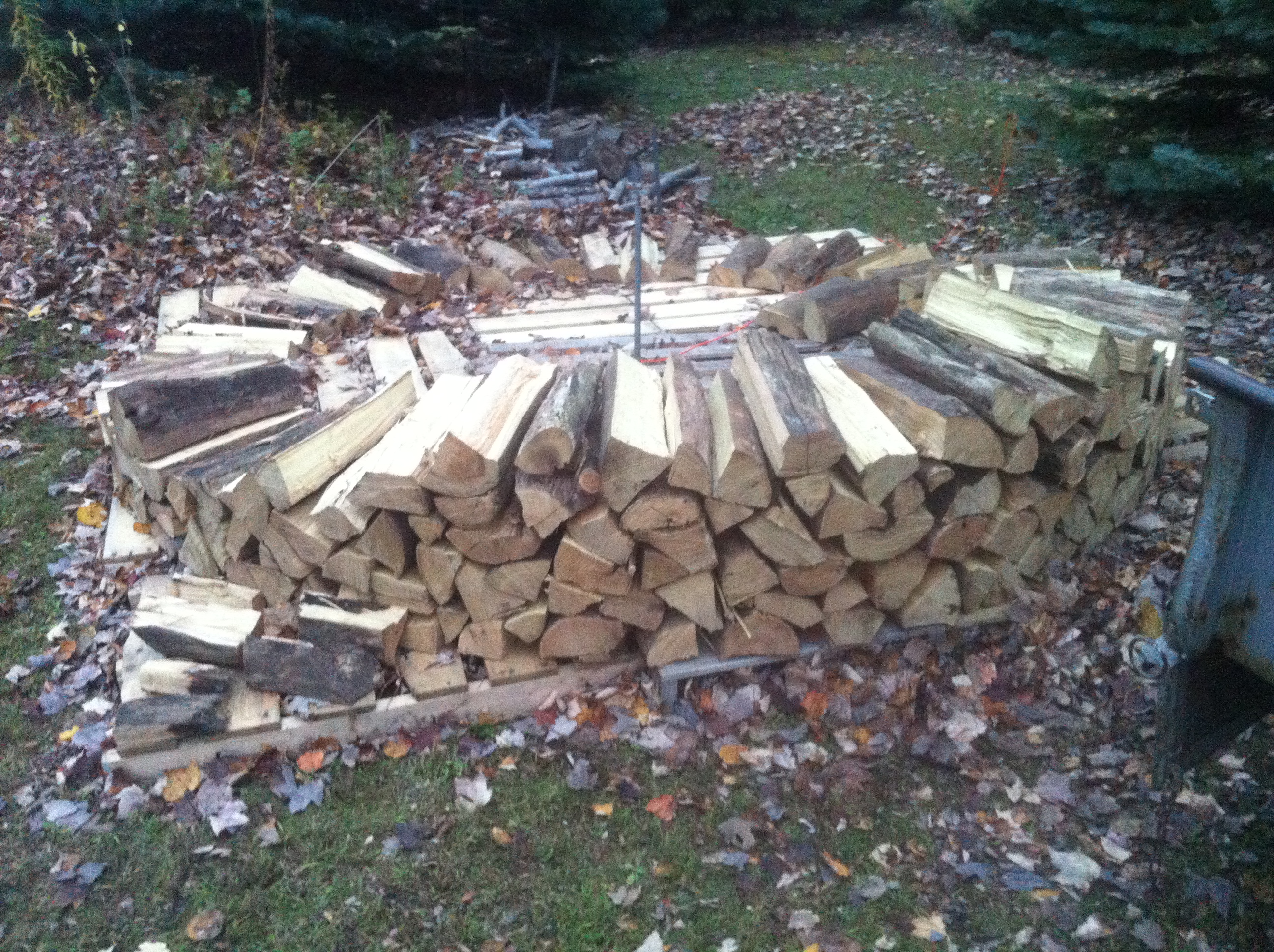 Hoarding Firewood | Firewood Hoarders Club