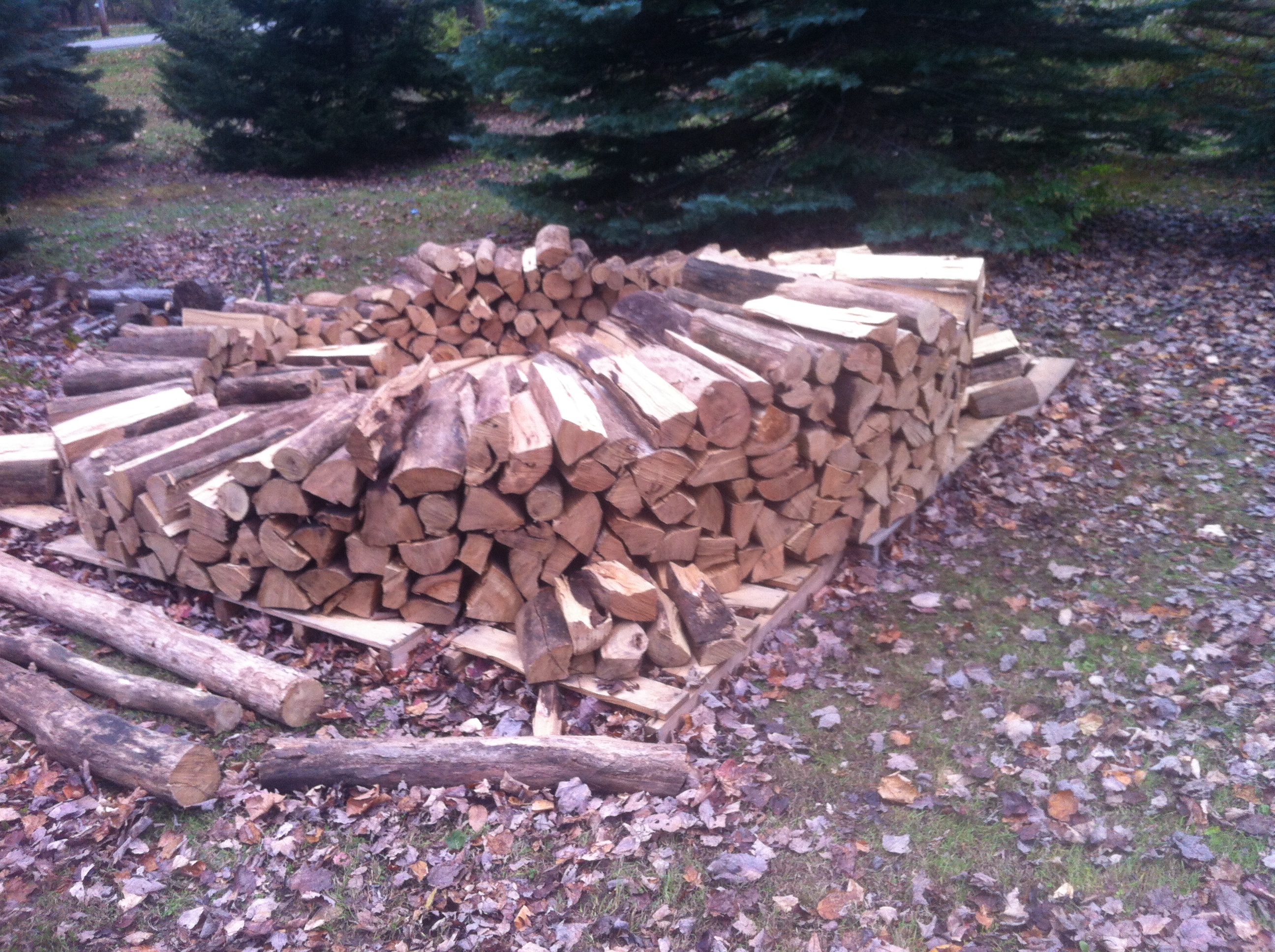 Hoarding Firewood | Firewood Hoarders Club